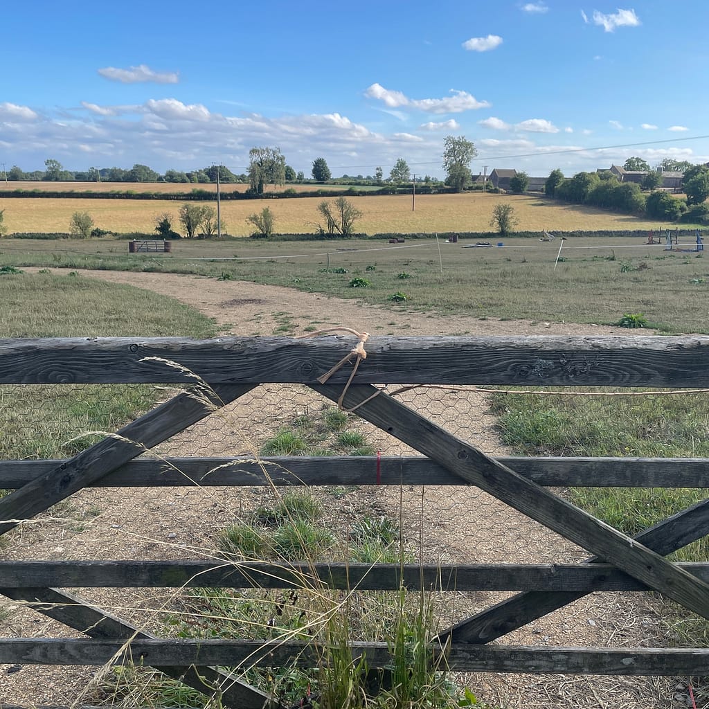 A Digital Detox Holiday: Goodbye Screen, Hello Green (2023)